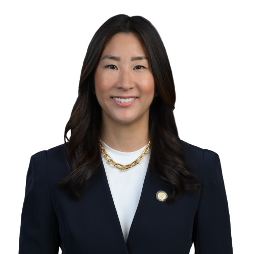Grace Lee - Assembly District 65 |Assembly Member Directory | New York ...