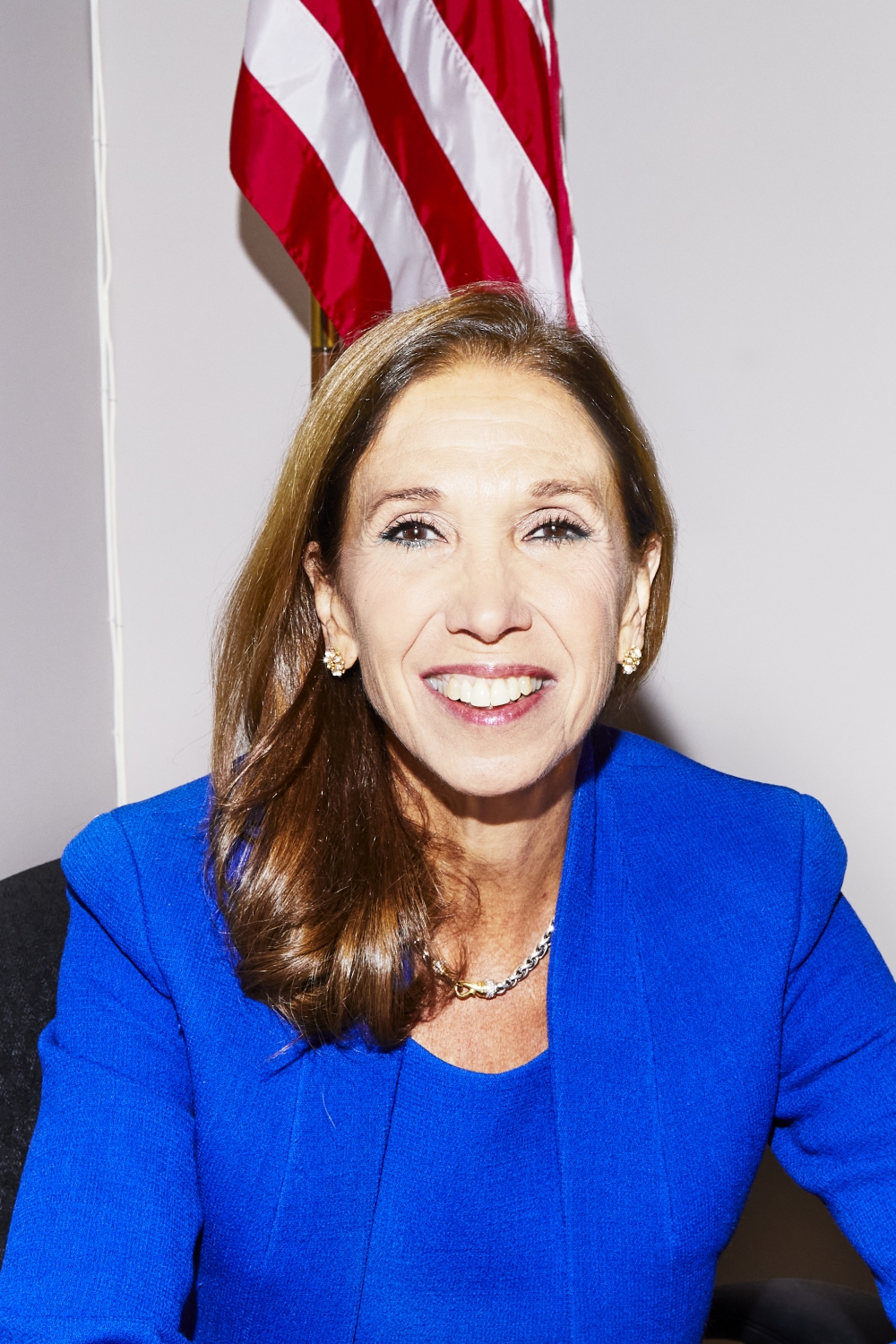 Amy Paulin - Assembly District 88 |Assembly Member Directory | New York ...