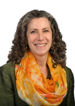 Dana Levenberg - Assembly District 95 |Assembly Member Directory | New ...