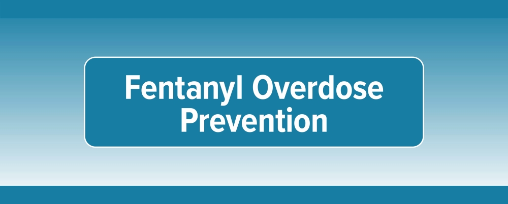 Jen Lunsford - Assembly District 135 |Assembly Member Directory | New ...