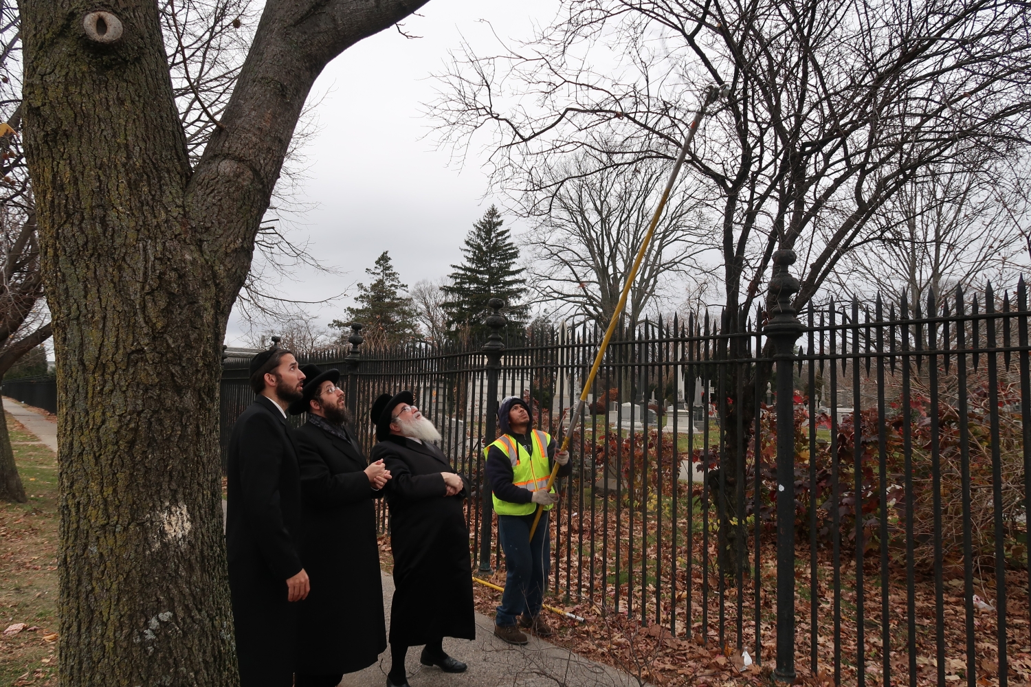 Simcha Eichenstein - Assembly District 48 |Assembly Member Directory ...