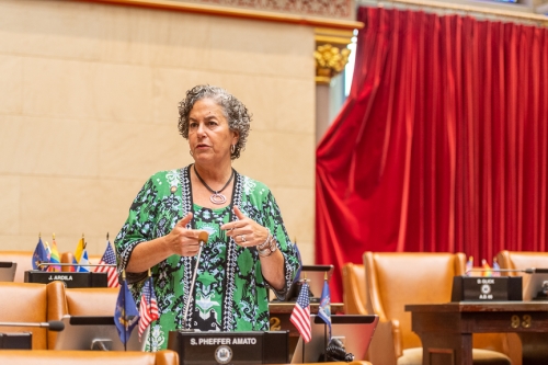 Stacey Pheffer Amato - Assembly District 23 |Assembly Member Directory ...