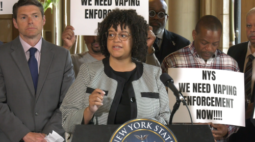 Michaelle C. Solages - Assembly District 22 |Assembly Member Directory ...