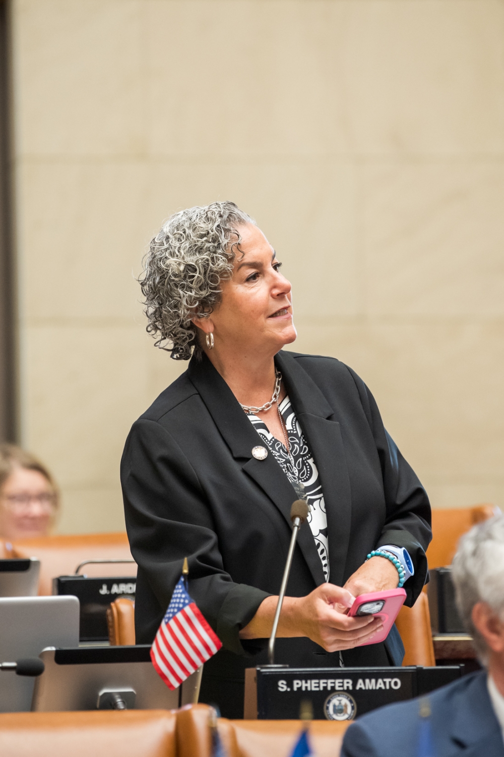 Stacey Pheffer Amato - Assembly District 23 |Assembly Member Directory ...