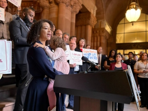 Michaelle C. Solages - Assembly District 22 |Assembly Member Directory ...